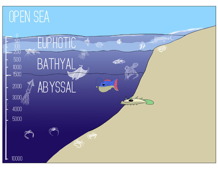 Davis Peng Angler Fish Storybook