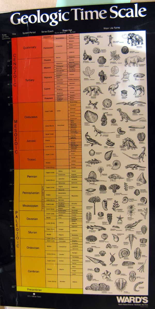 GeologicTimeScale
