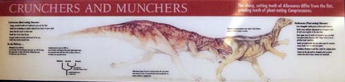 CRUNCHERS AND MUNCHERS
