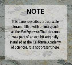 Warm Blood, Cold Water